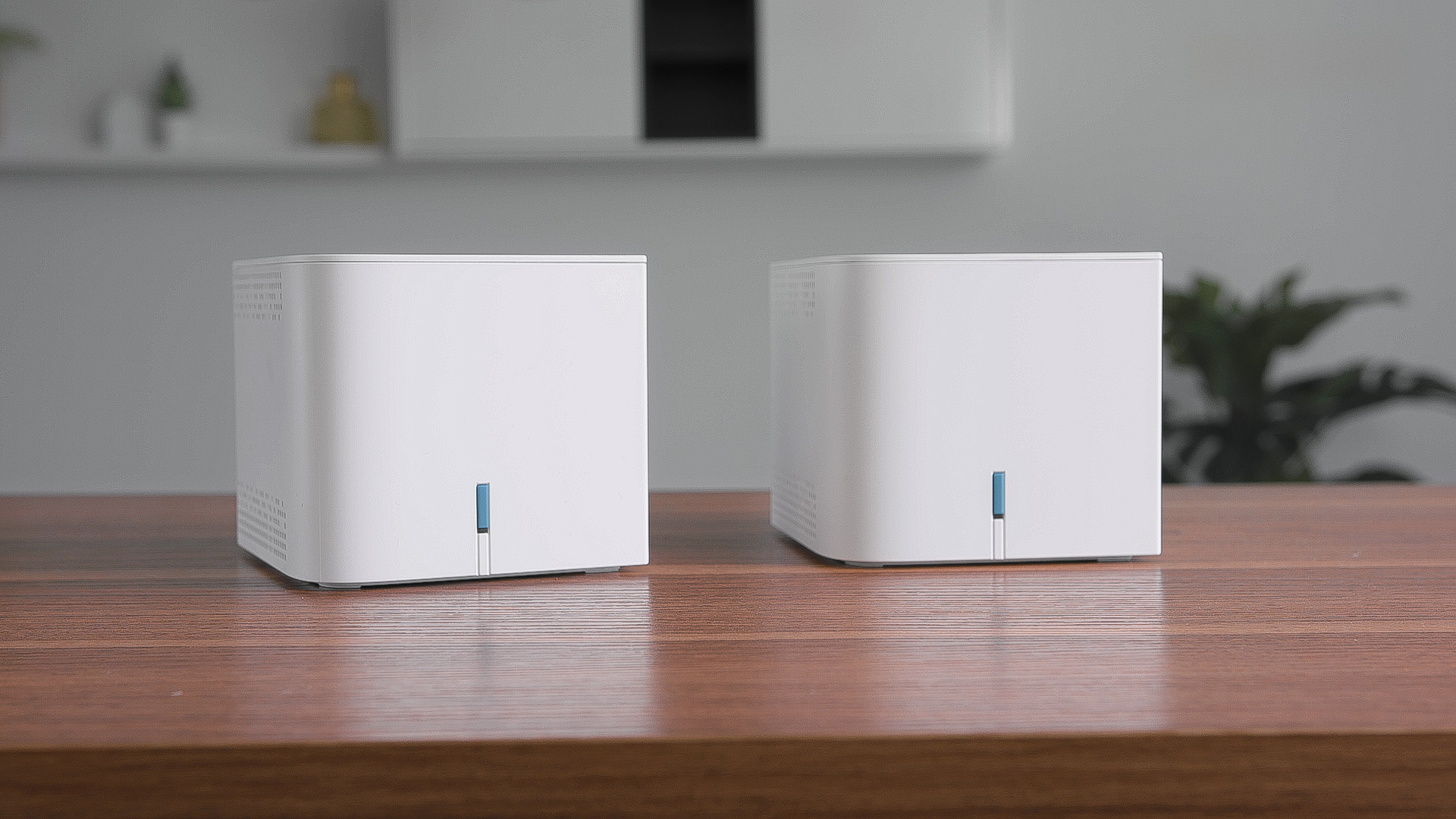 Wifi Mesh - Levering Studio